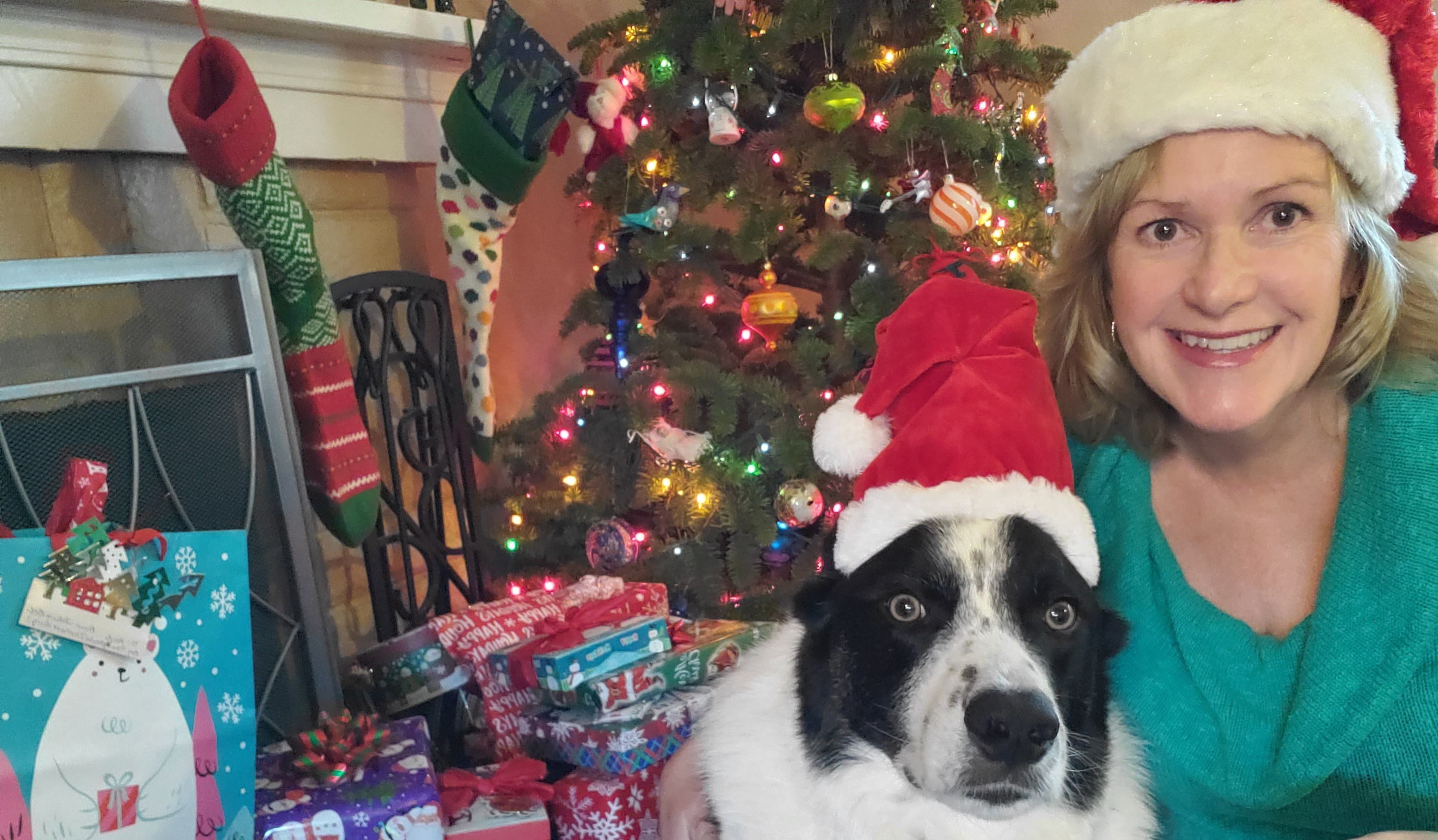 Family Holidays and Author Interviews – Heidi Eliason